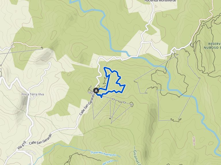 236m longest bridge loop from Hacienda Monteverde | hike | Komoot